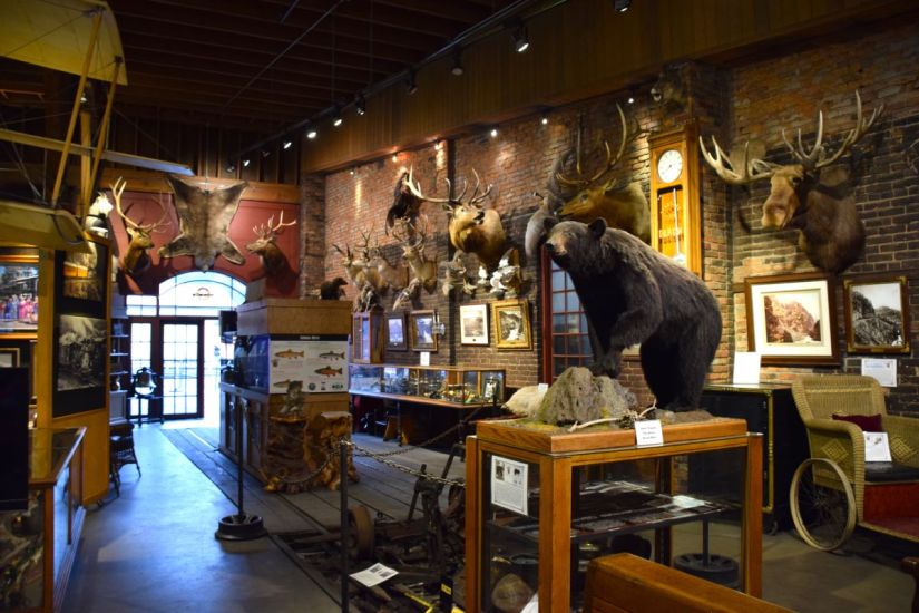 The Disabled Traveler’s guide to the Durango & Silverton Narrow Gauge ...